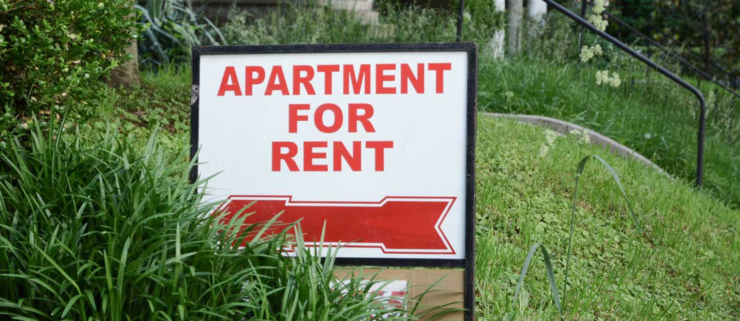 Tips to Prepare Apartments for Rent: Paint, Decorate & More | dubizzle