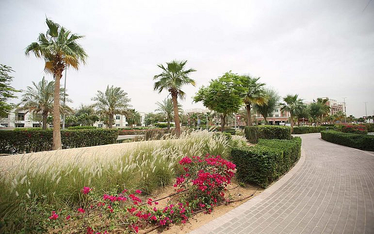 A Closer Look at Life in Al Ghadeer in Abu Dhabi | dubizzle