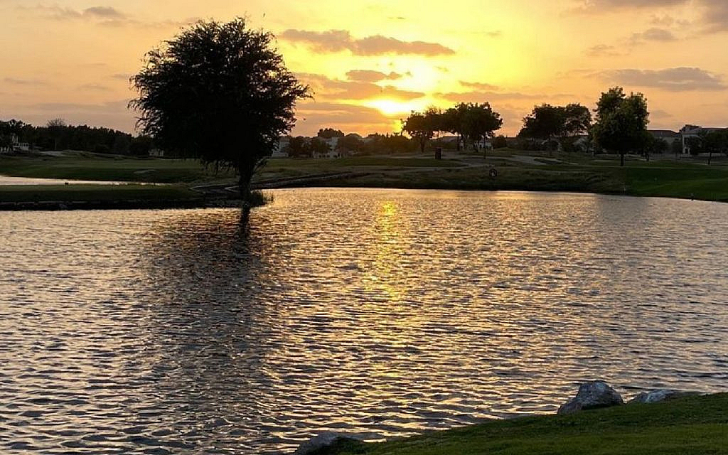 Jumeirah Golf Estate Area Overview: Lifestyle, Features & More | dubizzle