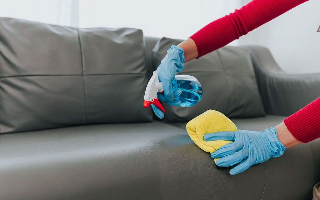 Ways to Maintain Leather Couches and Sofas: Tips, FAQs & More