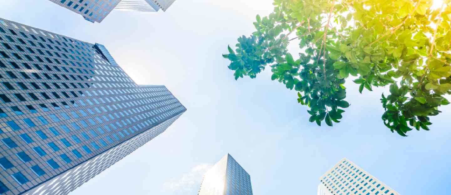 Green Building Regulations by RAK Municipality | dubizzle